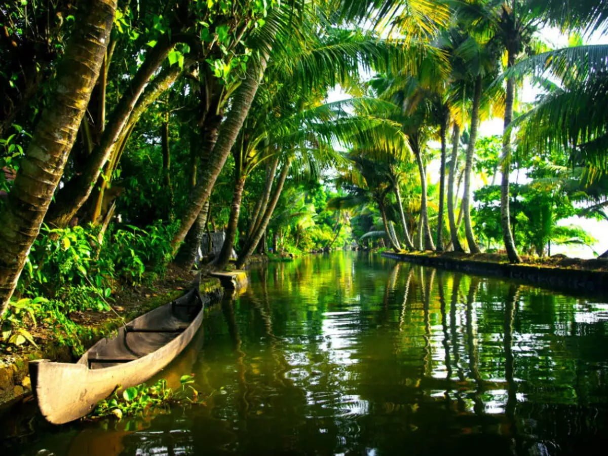 Tripatales | Best Places to Visit in Kerala